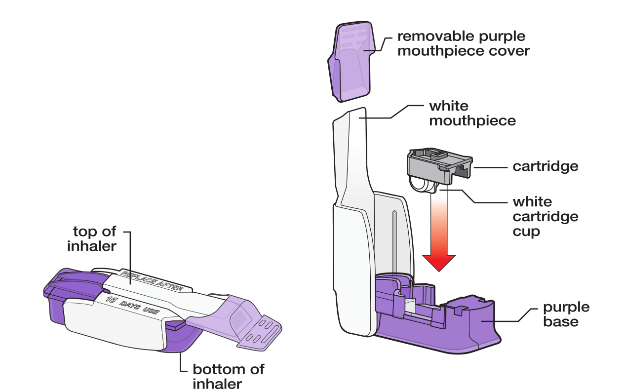 Instructions for Use - Afrezza